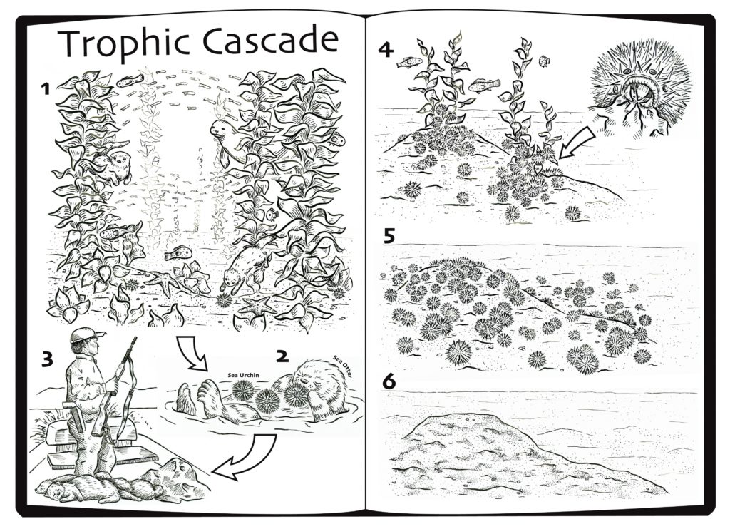 Trophic Cascade - ArtsEngine