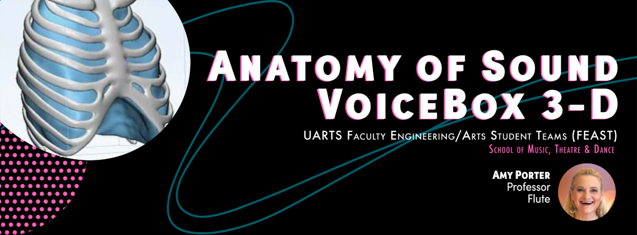 Anatomy of Sound VoiceBox 3-D - ArtsEngine