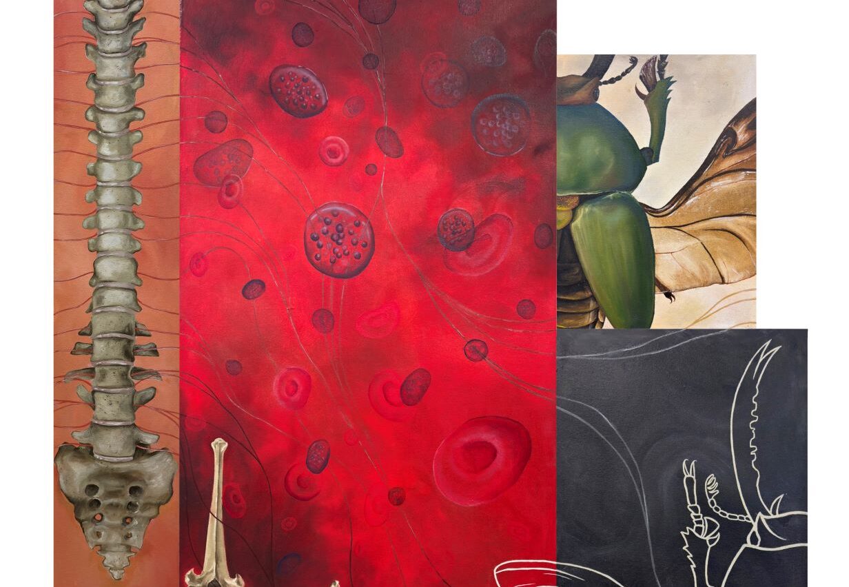 (In)vertebrates - ArtsEngine