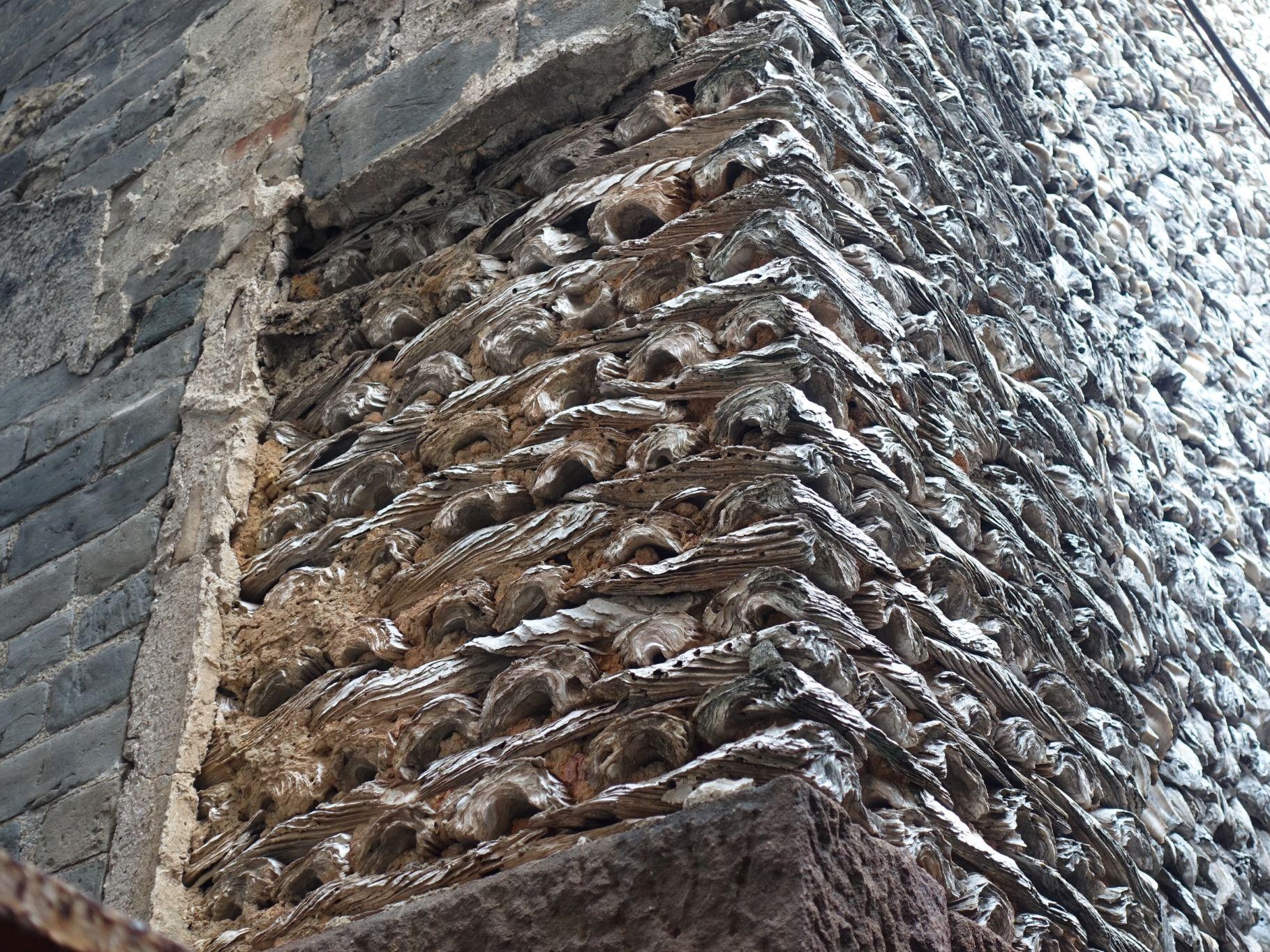 Knitting Shells - ArtsEngine